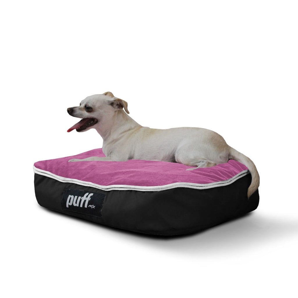 Puff para perros, gatos y otras mascotas – Puff MX